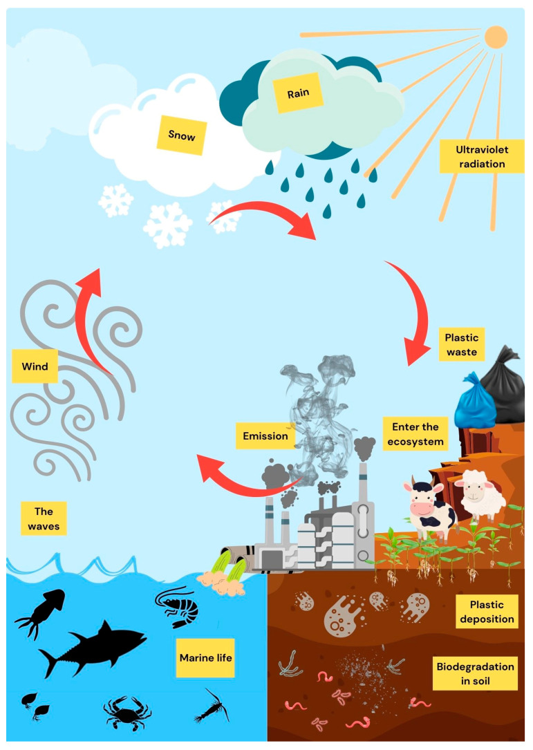 Top Sources of Microplastic Exposure and How to Avoid Them ...