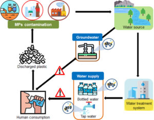 Top Sources of Microplastic Exposure and How to Avoid Them ...